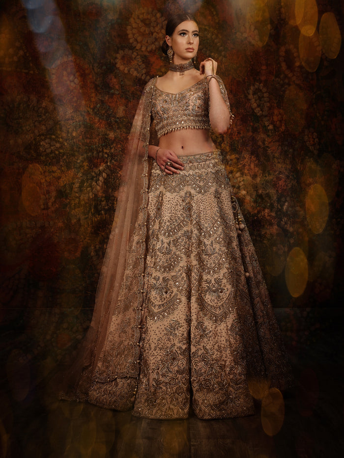 Aarya - WellGroomed Designs Inc